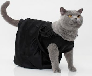 From My Desk: Michael Sanguinetti - Thanks for your remark!