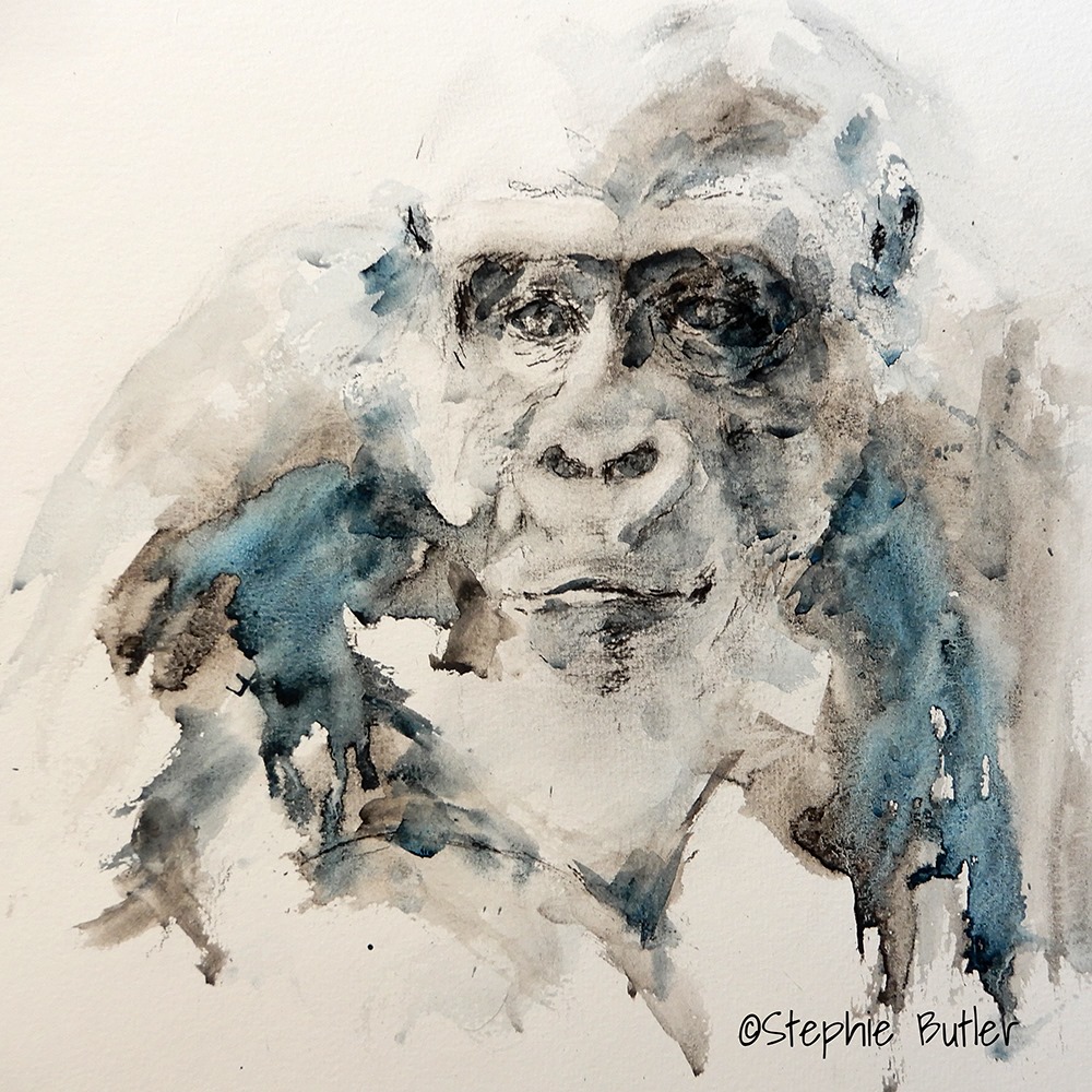 The Watercolour Log: New Product Nitram LIquid Charcoal