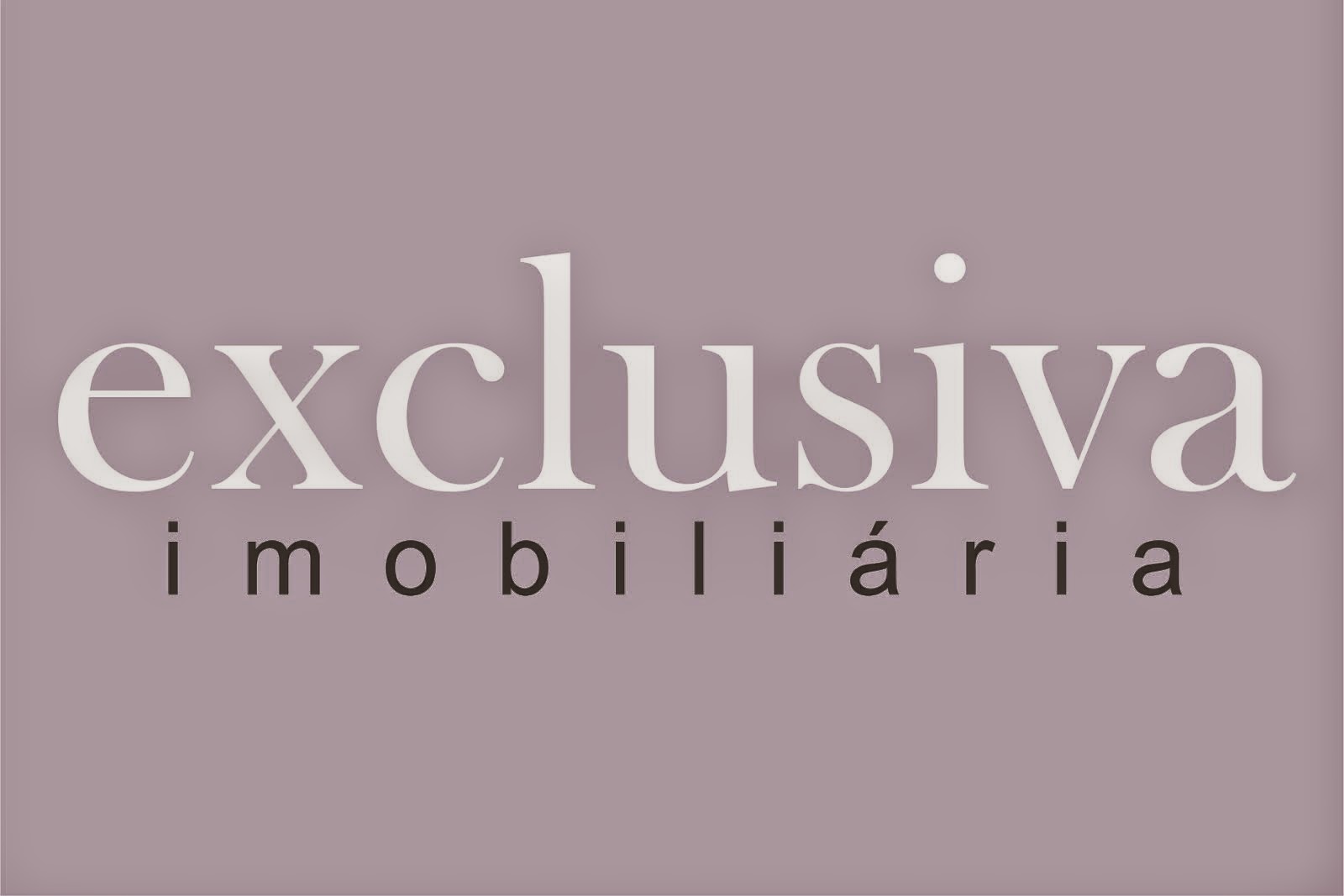 EXCLUSIVA CONSULTORIA