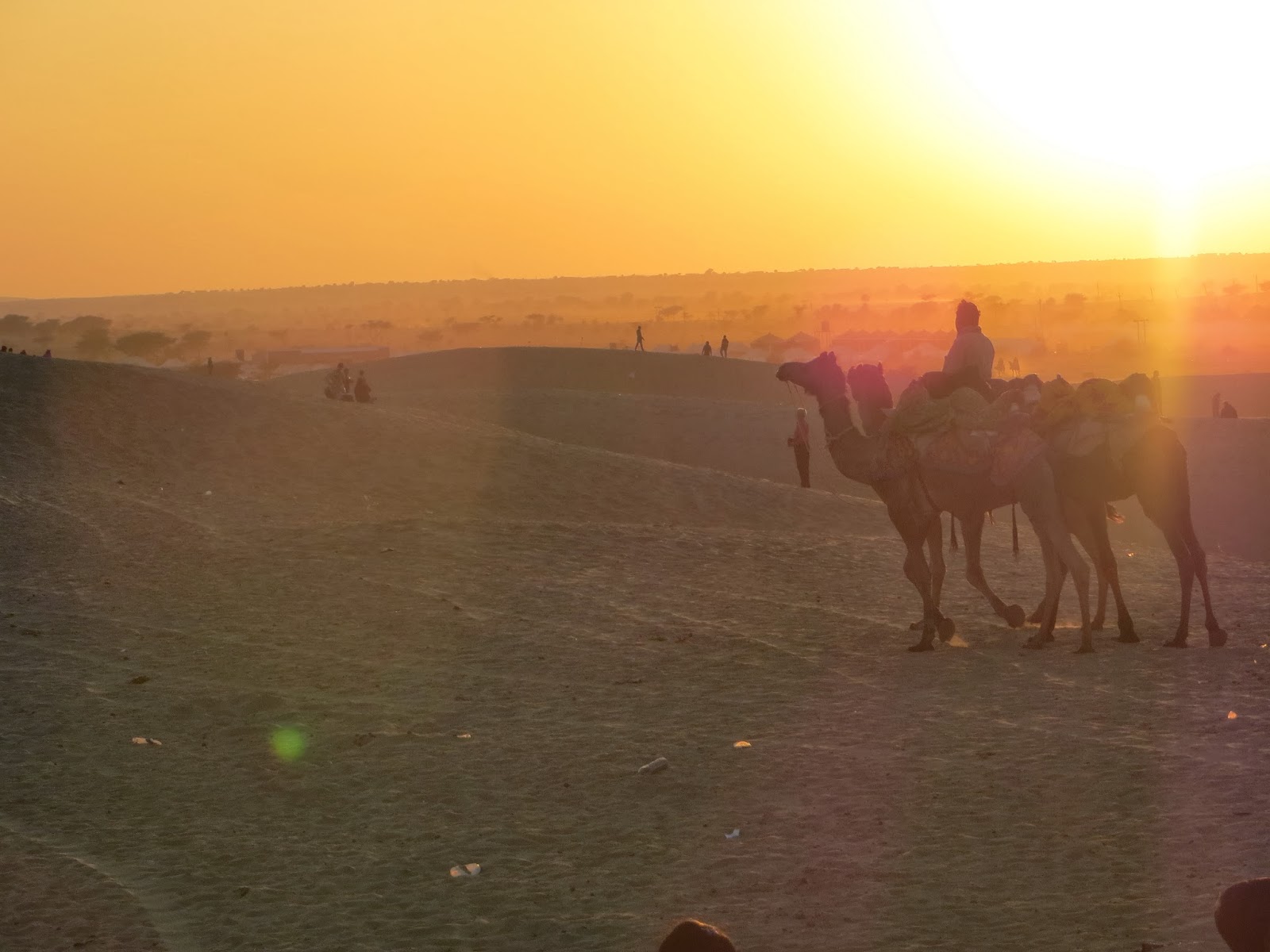 Images of Magical Rajasthan - Limitless Journeys