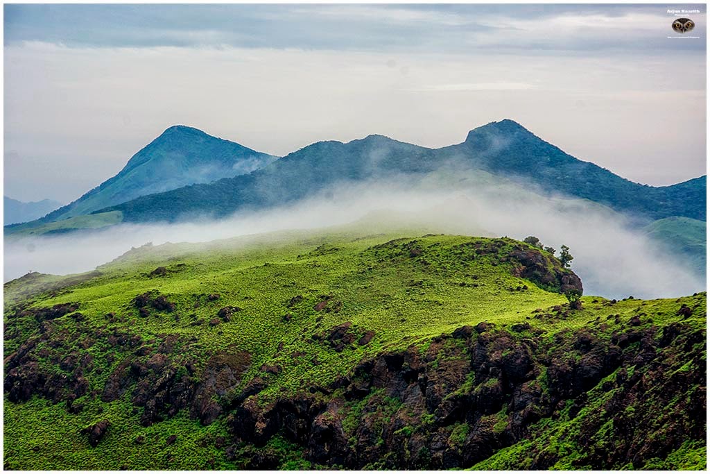 Arjun Haarith: In quest of Coorg's highest peak - Tadiandamol