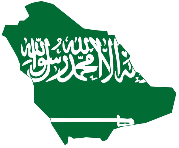 ALBAYAAN MEDIA GROUP: SAUDI PRINCESS AL ANOUD BINT MUTAIB BIN ABDUL ...