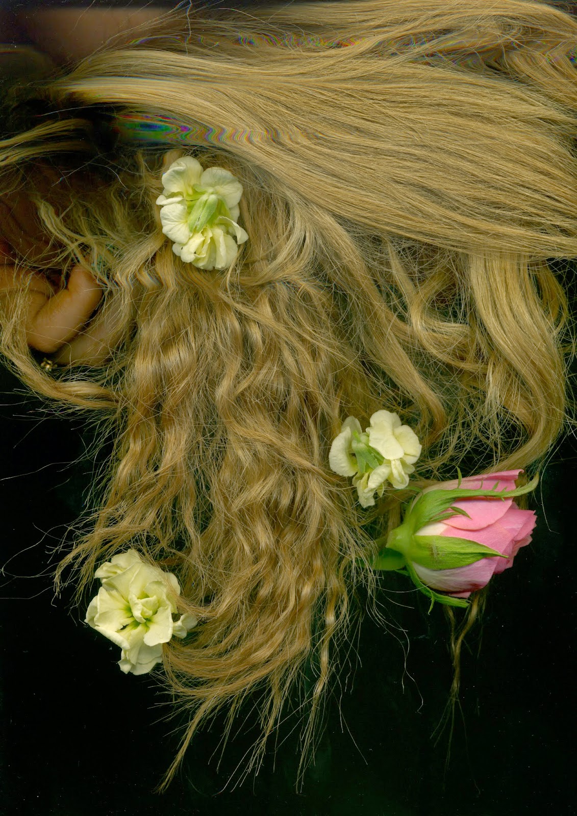 Unit 3 - Ideas and Concepts in Art and Design: Scanography