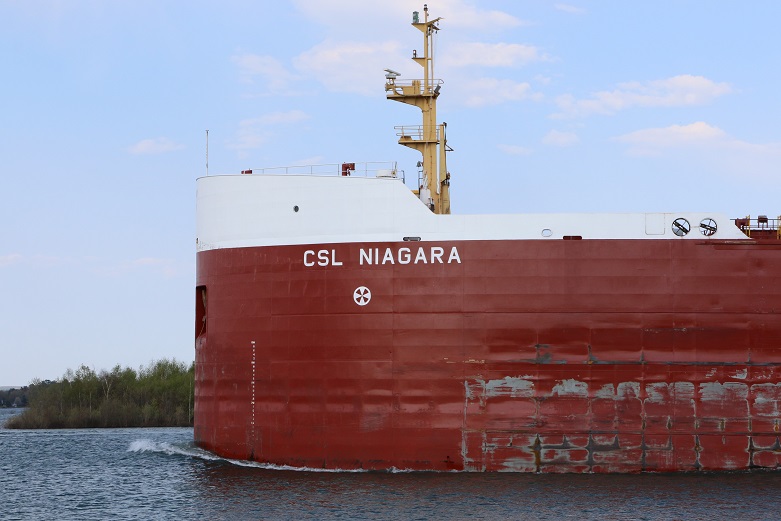 Michigan Exposures: Next Up...the CSL Niagara