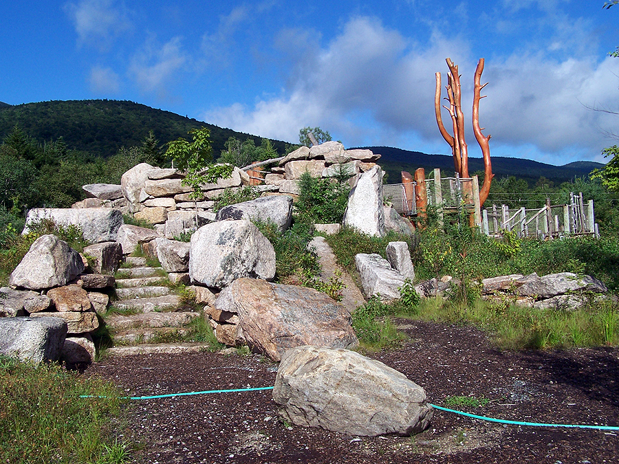 Hiking in the White Mountains: Willey Range with Lee and Dion