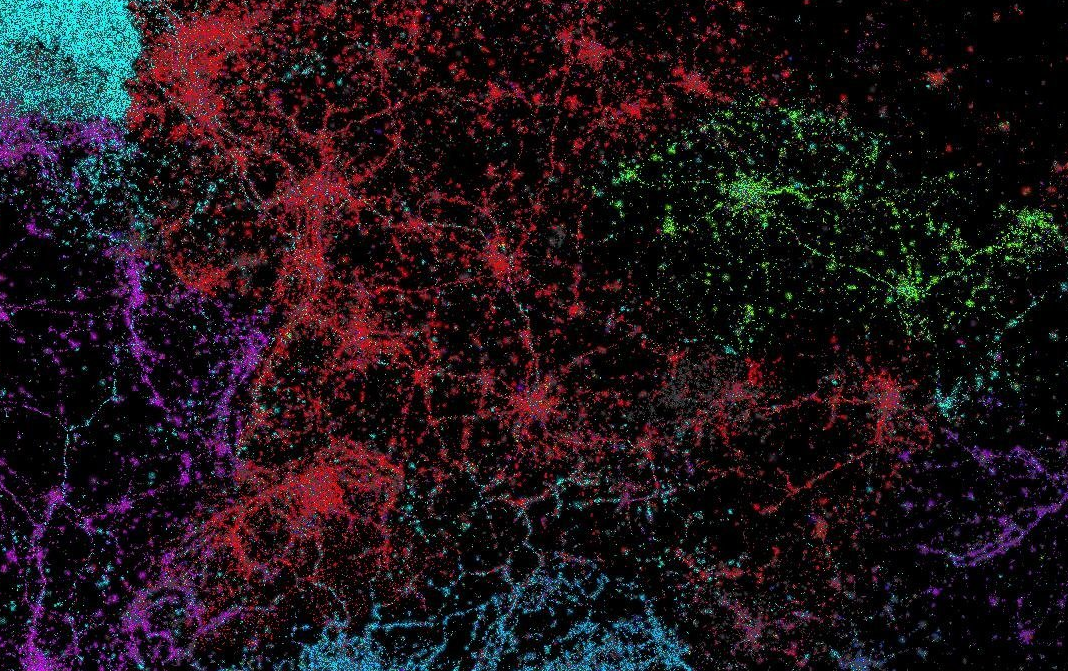 El català en el mapa neuronal europeu - Bestiolari