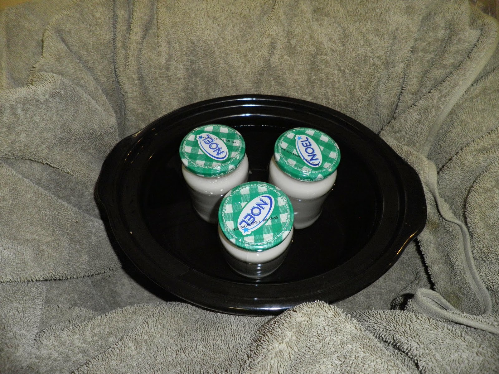 The Merkleys At the End of the World