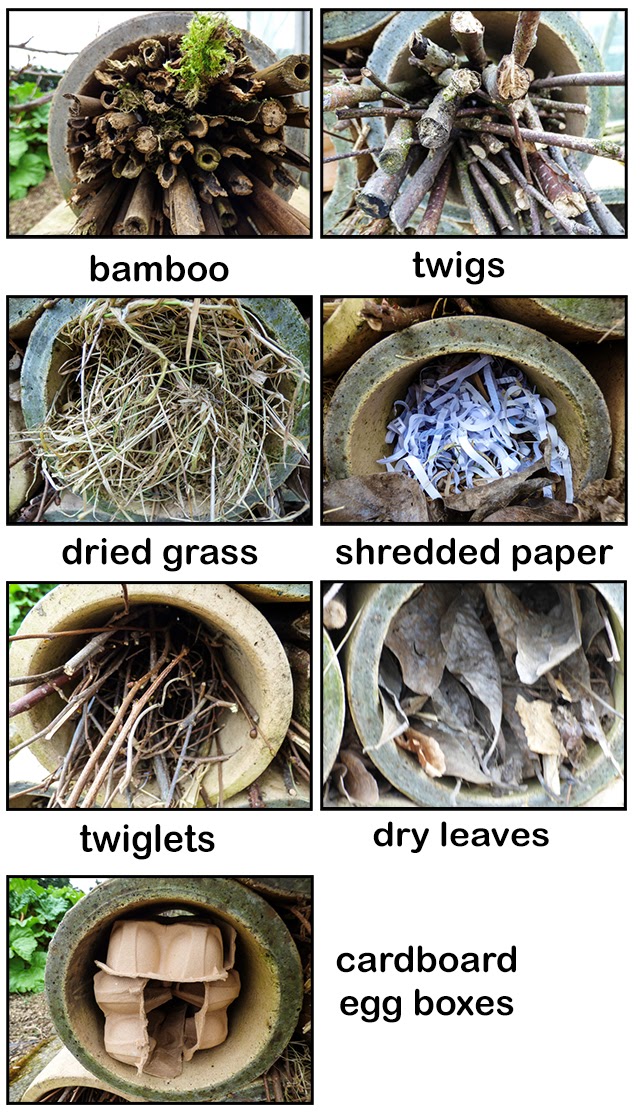 Our Plot at Green Lane Allotments: Bug hotel or more accurately bug ...
