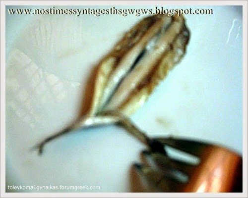 Marinated anchovy (gavro type fish) | deliciousrecipesofgogo