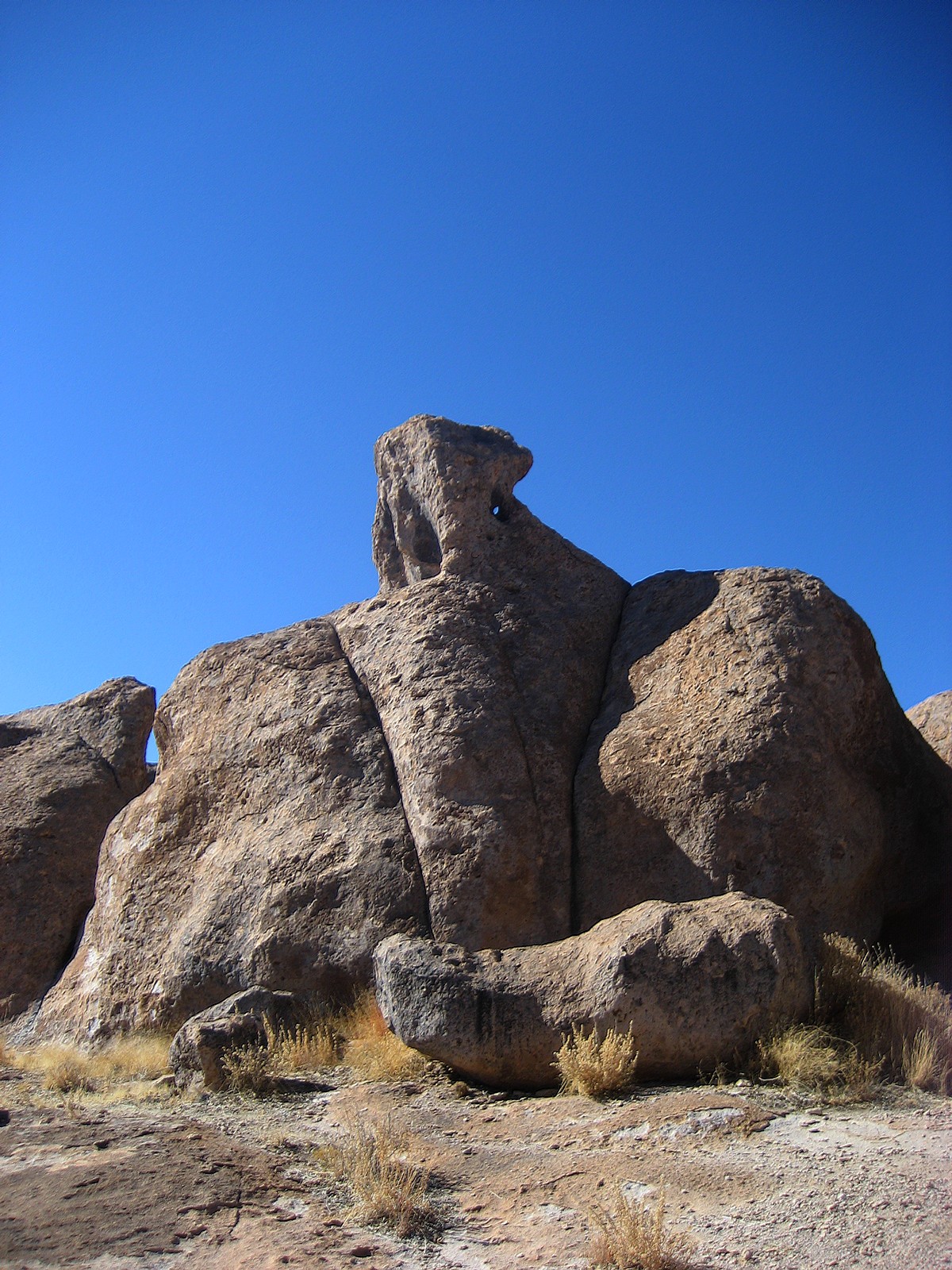 Living Rootless: City of Rocks State Park, New Mexico