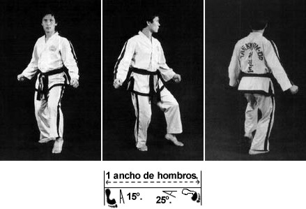 ACADEMIA OH DO KWAN - INGENIO: Posiciones o posturas (Sogui)