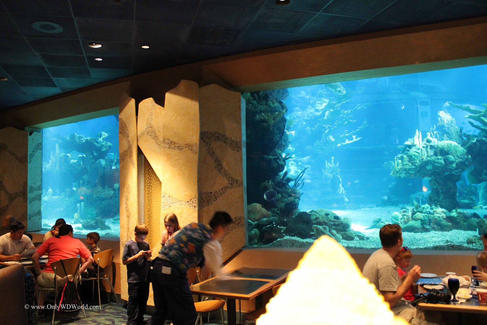 An Amazing Disney Deluxe Dining Plan Experience | Disney World Blog ...