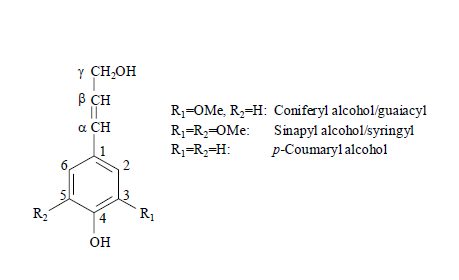 How about Lignin?: Lignin structure