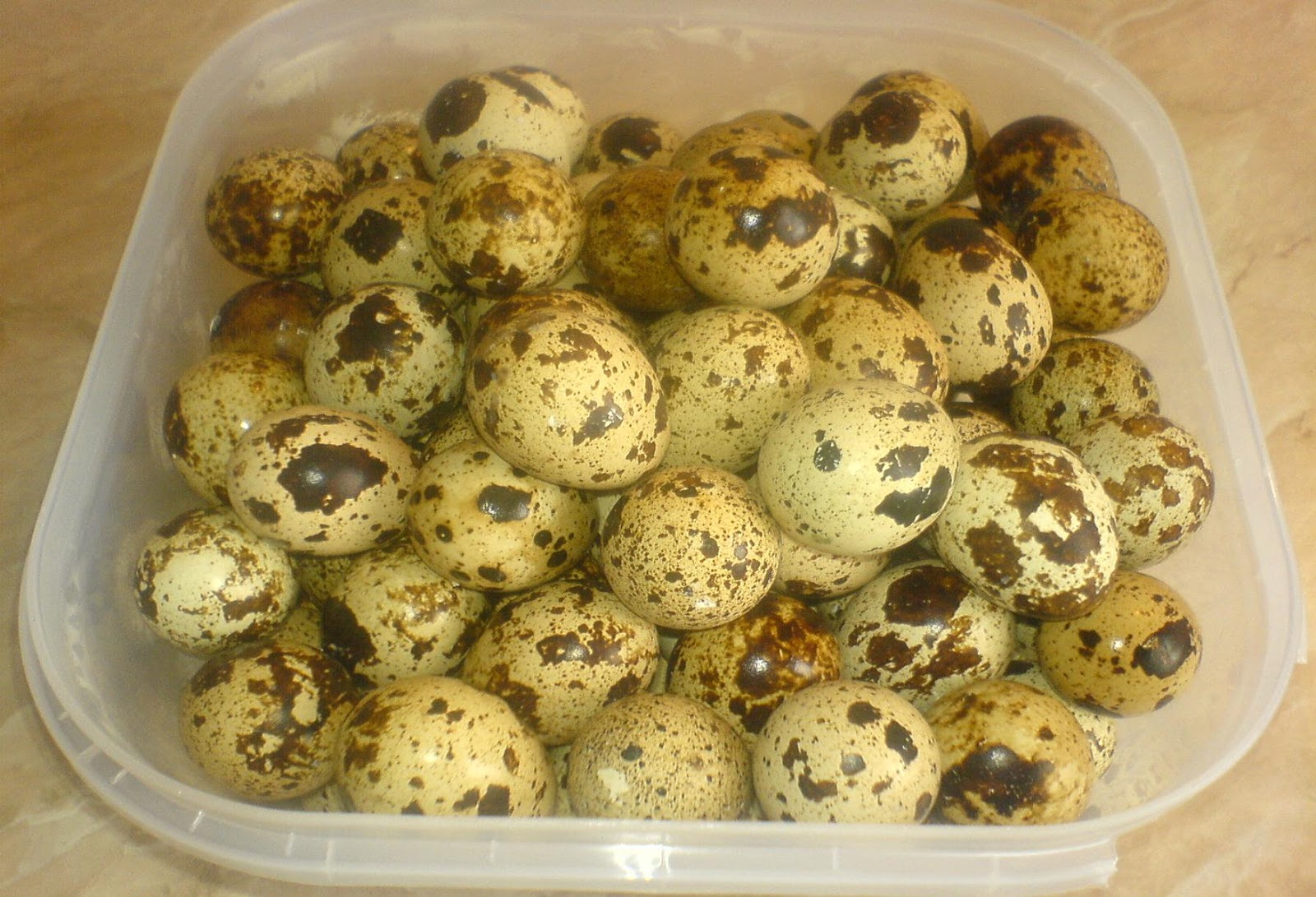 Oua de prepelita - Cura Cu Oua De Prepelita | Preparatedevis.ro