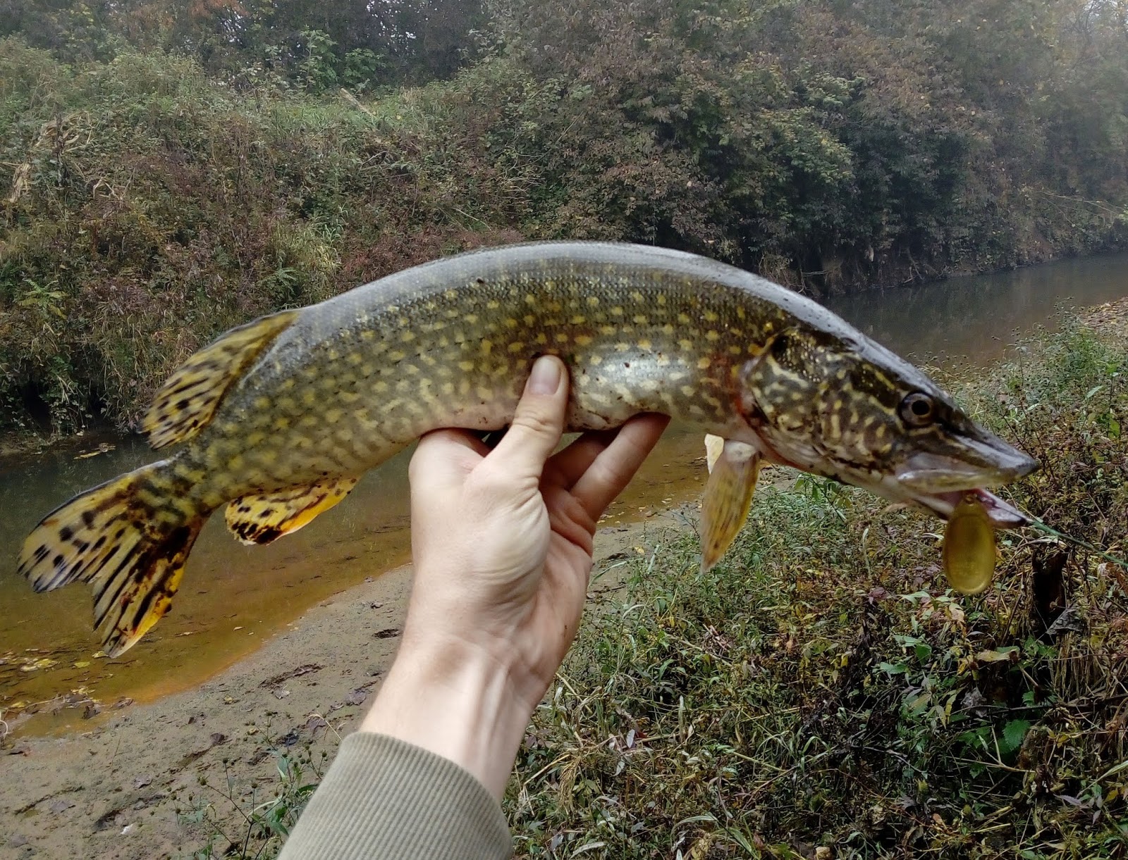 RIBOLOV NA MOJ NAČIN: децембар 2018