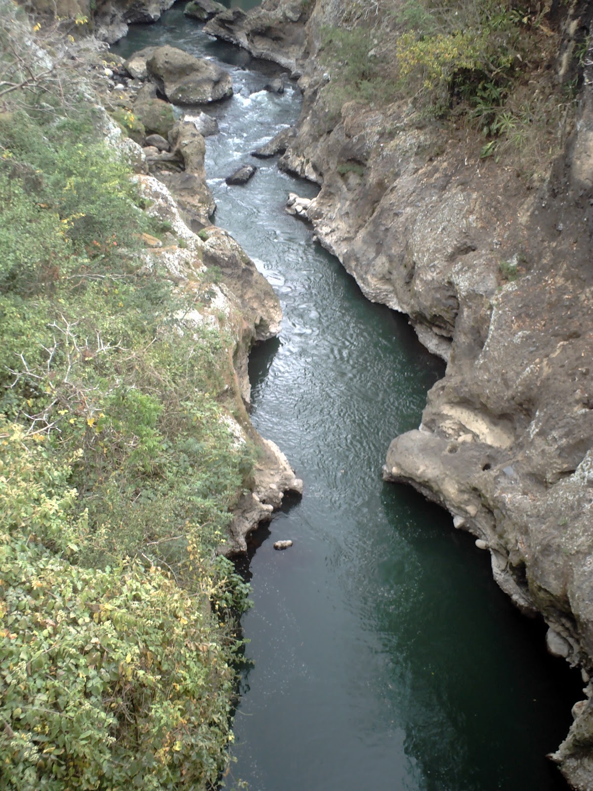 Defensa de la cuenca del río Atoyac, Veracruz