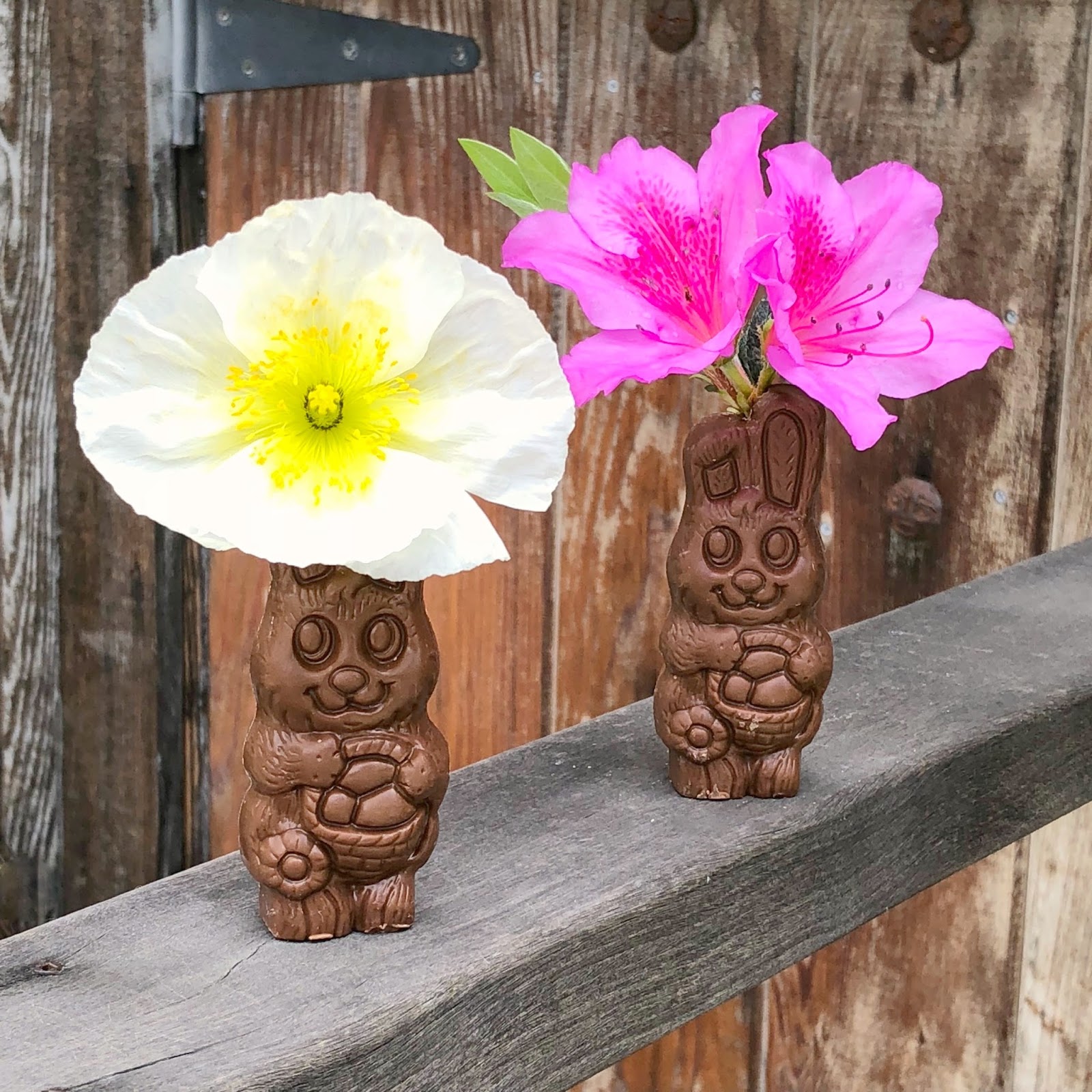 Jac o' lyn Murphy: 5+ Festive ways to use Chocolate Rabbits for Easter