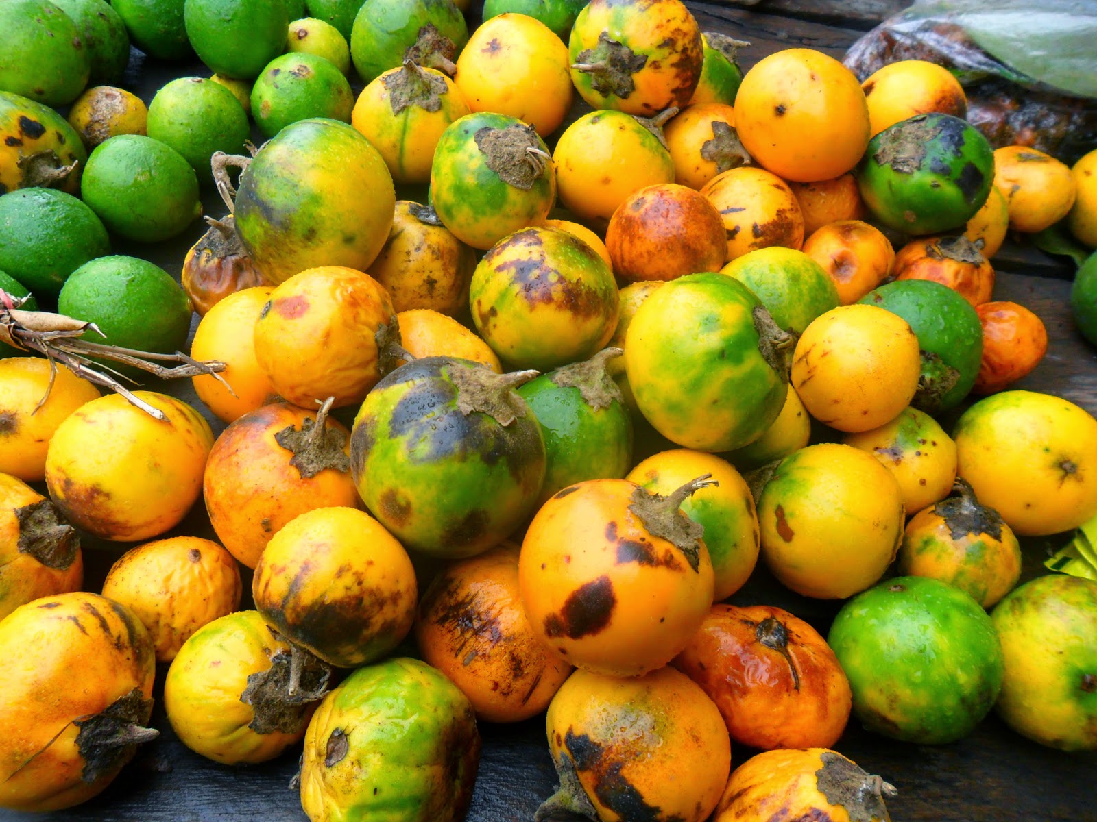 CERITAKU, KARYAKU: TERONG ASAM ATAU TERONG DAYAK