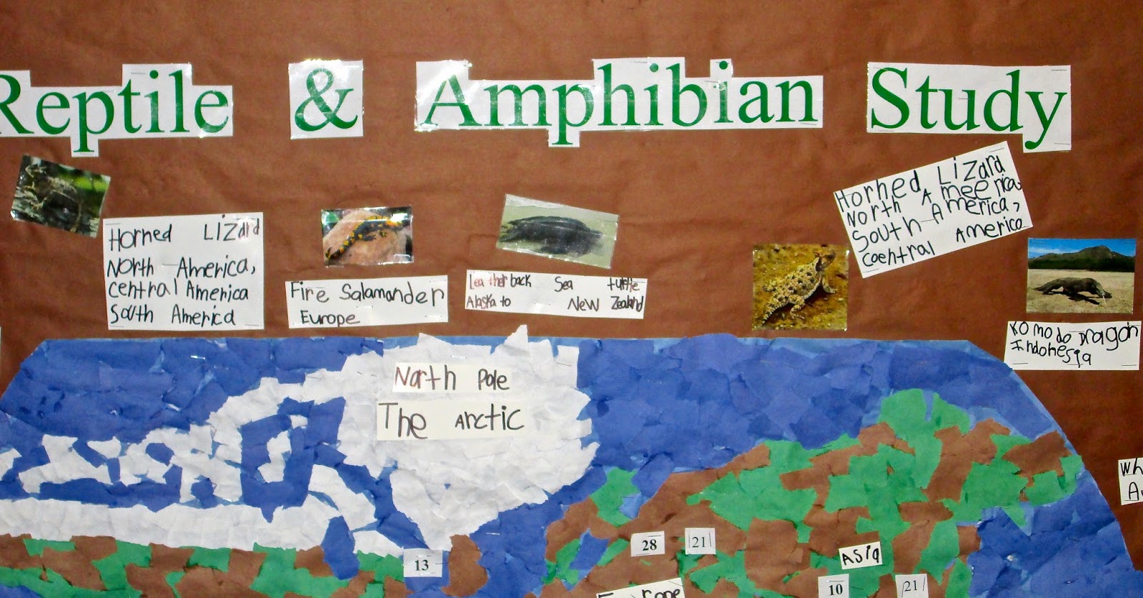 Mrs. Garrabrant's Classroom: Preparing For Our Reptile/Amphibian Open ...