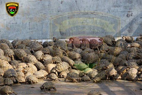 Smuggling is a serious drain to the Libyan economy