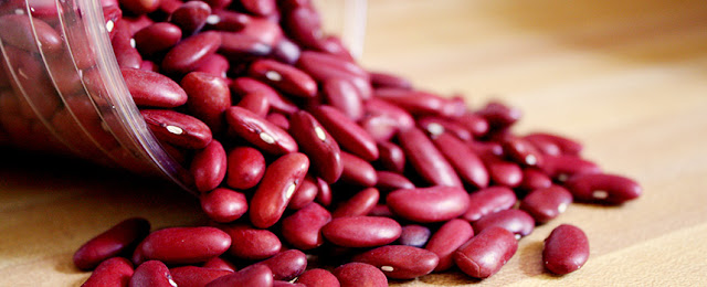 Kuliah Umum Farmasi: Tanaman Kacang Merah dan Khasiat serta Manfaatnya