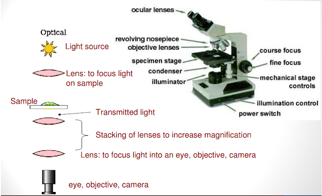 Microscope