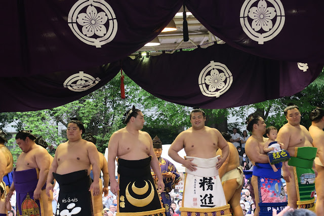 Origin and History of Sumo
