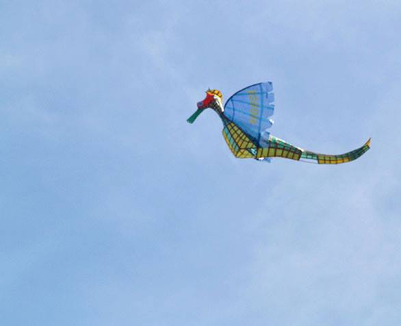 Tabanog Fest Season 5 Soar for the Mangrove