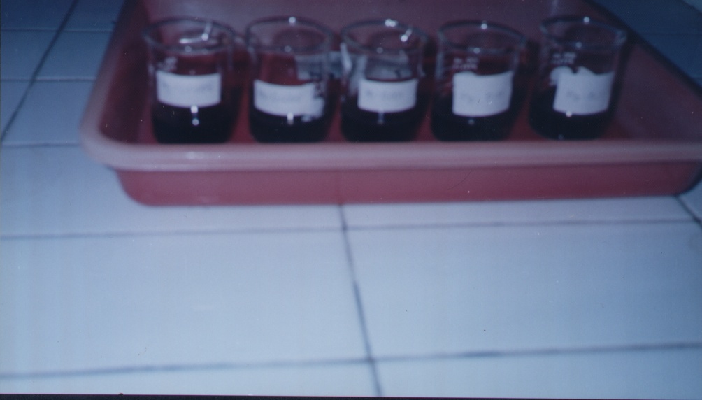 Kesehatan Lingkungan Purwokerto: PRAKTEK LABORATORIUM KESLING