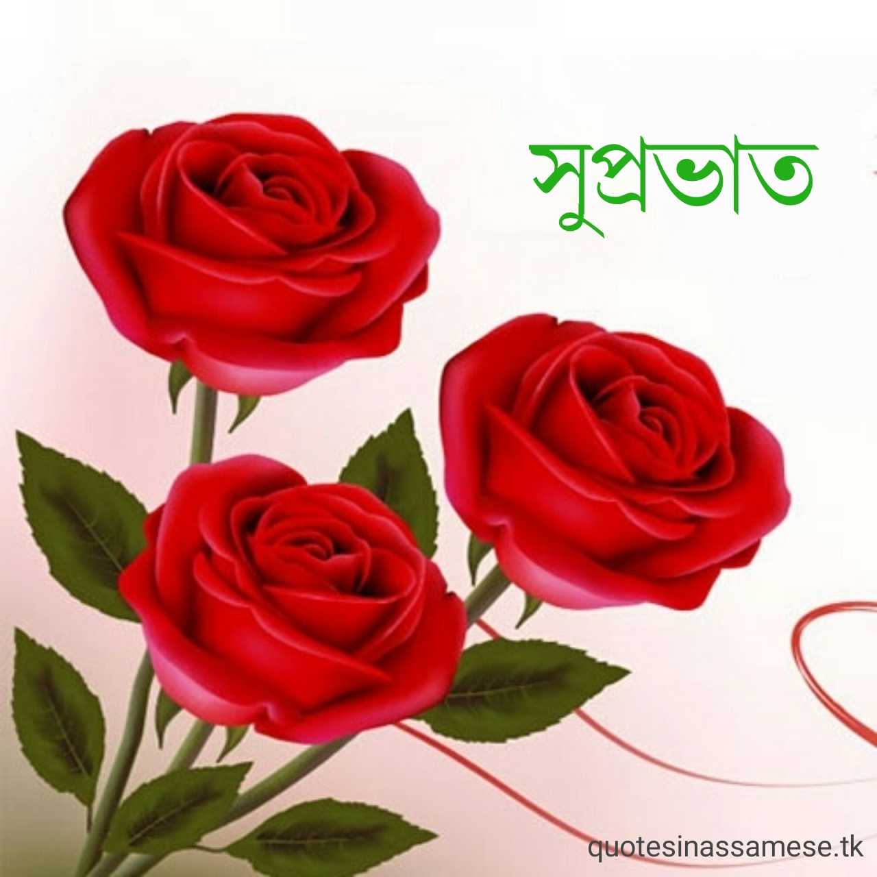 Assamese Good Morning Image Good assamese-good-morning-image-good