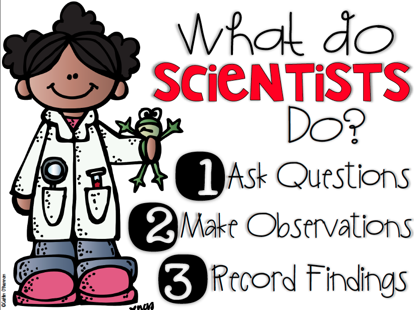 Third Grade Miróbriga: octubre 2016