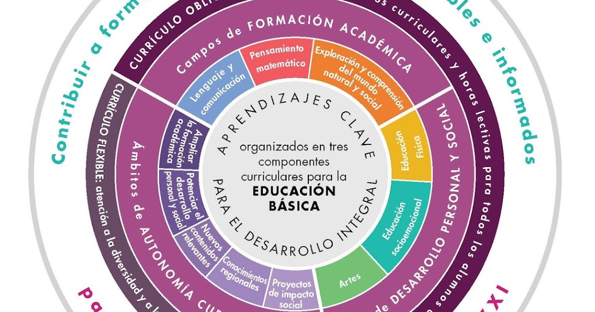 El planteamiento curricular del Nuevo Modelo Educativo (los puntos más ...