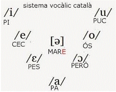 LLENGUA CATALANA 1r. ESO: ELS SONS VOCÀLICS