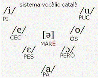 LLENGUA CATALANA 1r. ESO: ELS SONS VOCÀLICS