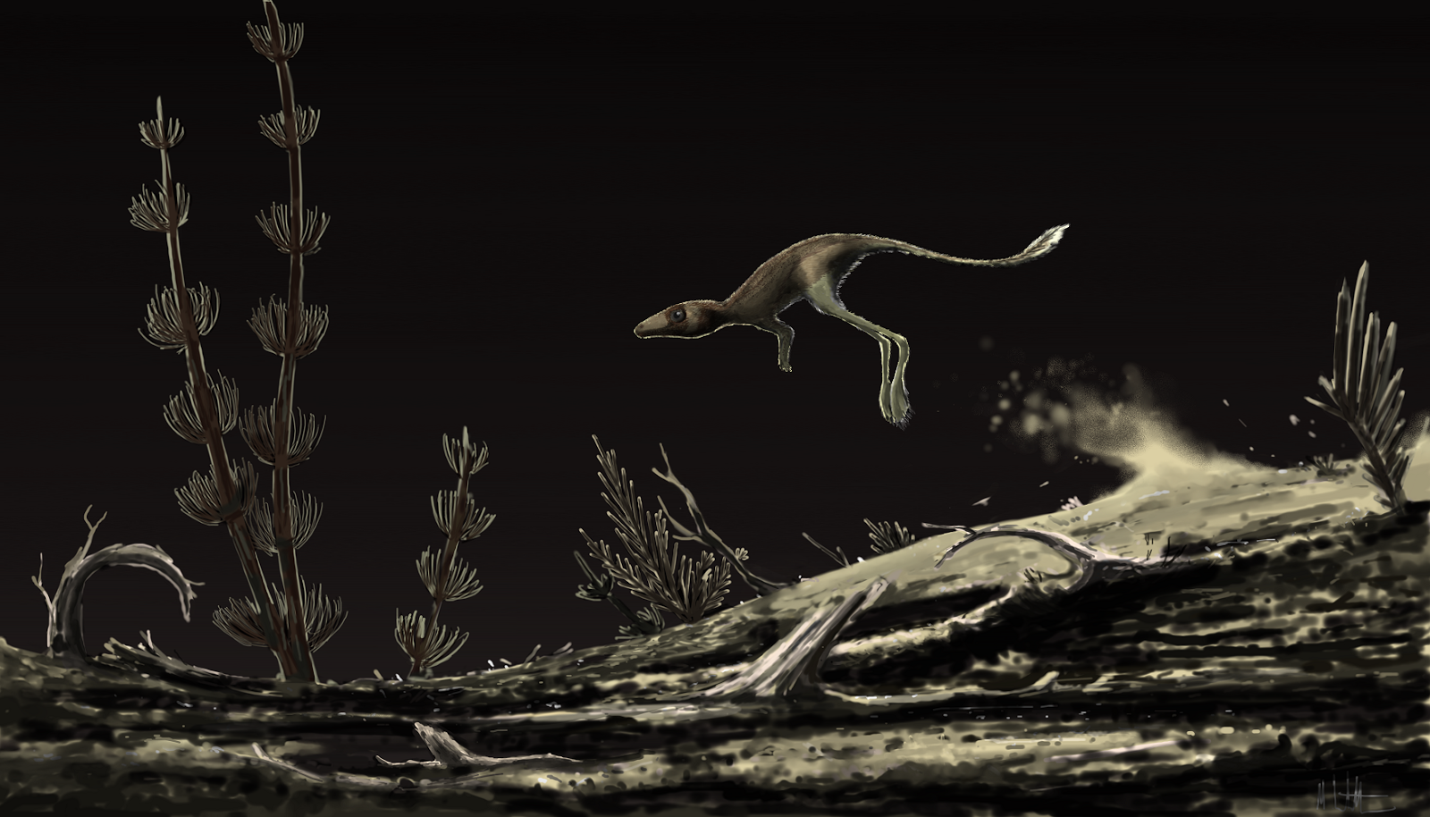 Prehistoric animals - The ZT2 Round Table