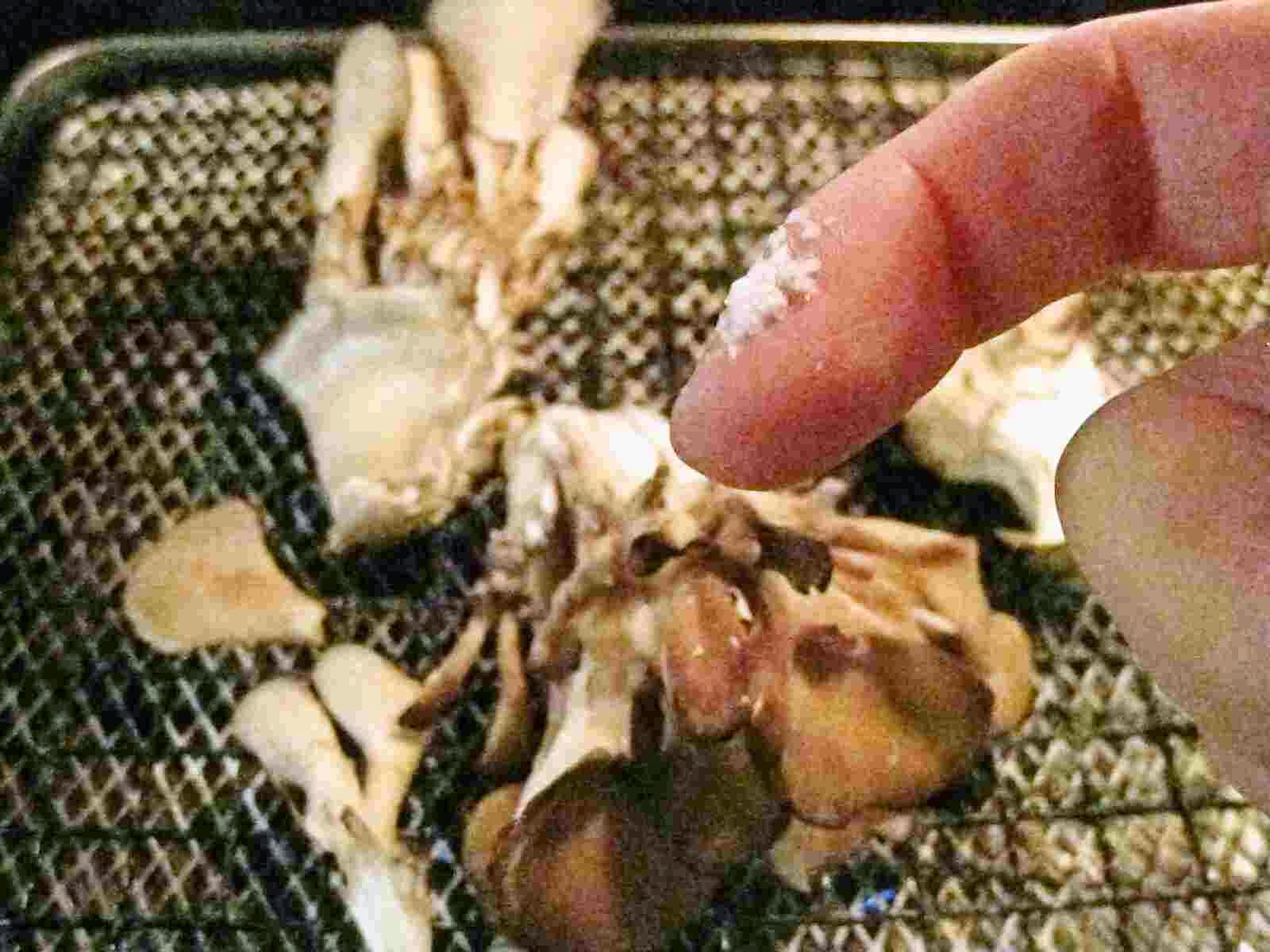 Recipes for Tom: Yaki-maitake gohan / steamed rice with grilled maitake ...