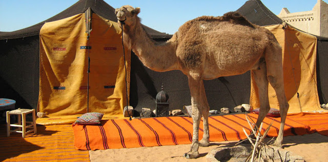 THE VIEW FROM FEZ: Writing Retreat in Moroccan Desert
