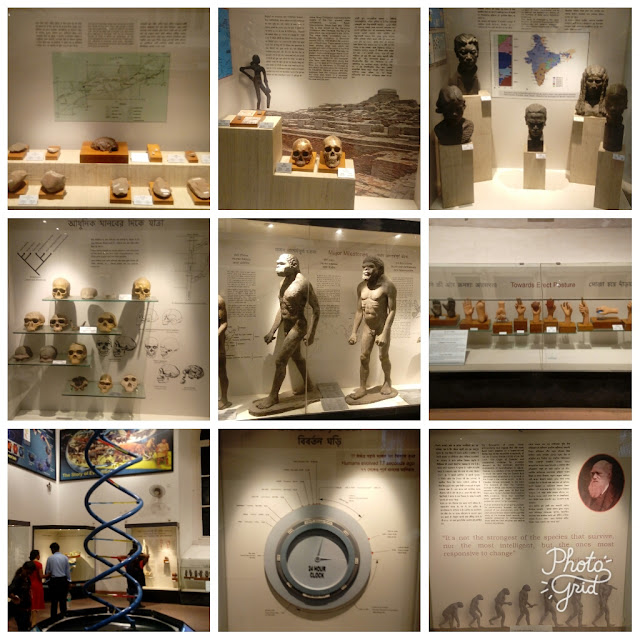 INDIAN MUSEUM