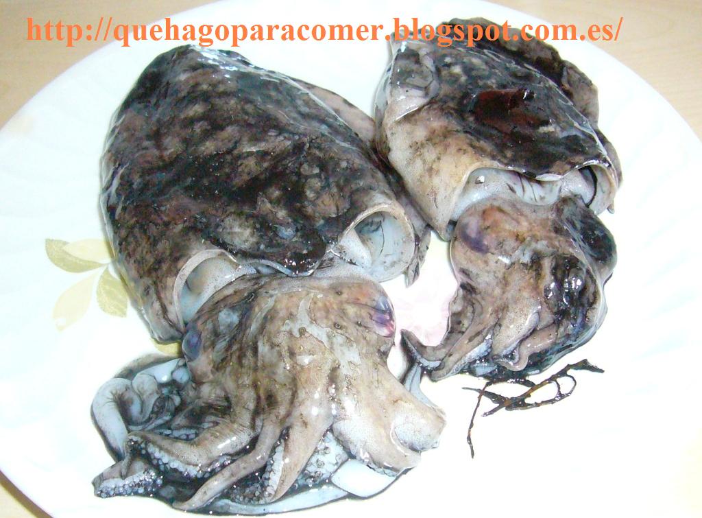 ¿QUÉ HAGO PARA COMER?: HABITAS CON SEPIA