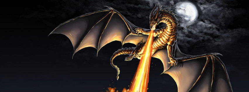 Dragon Facebook Covers - Học tiếng nhật, java và mọi thứ