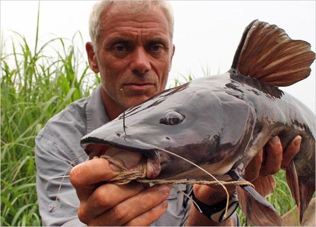 Funny Picture: 10 Most Diabolical & Scariest Fish On Earth at River ...