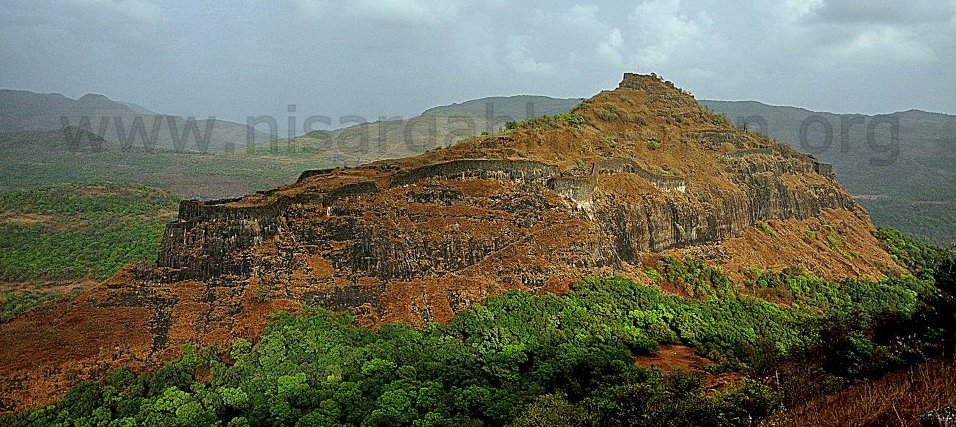 Nisarga Bhraman: Fireflies Special Trek to Rajmachi on 15th June 2013