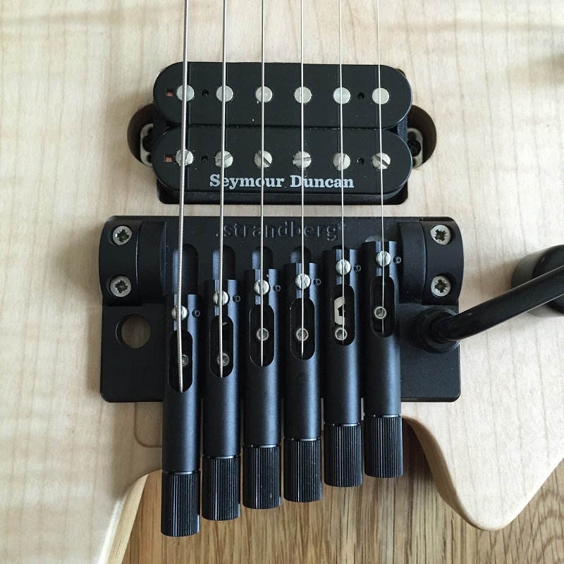 Guitar Lessons Seattle: Strandberg Guitar Bridge