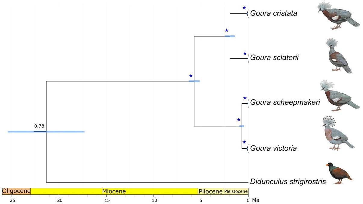 Species New to Science: [Ornithology • 2018] Recovering the ...