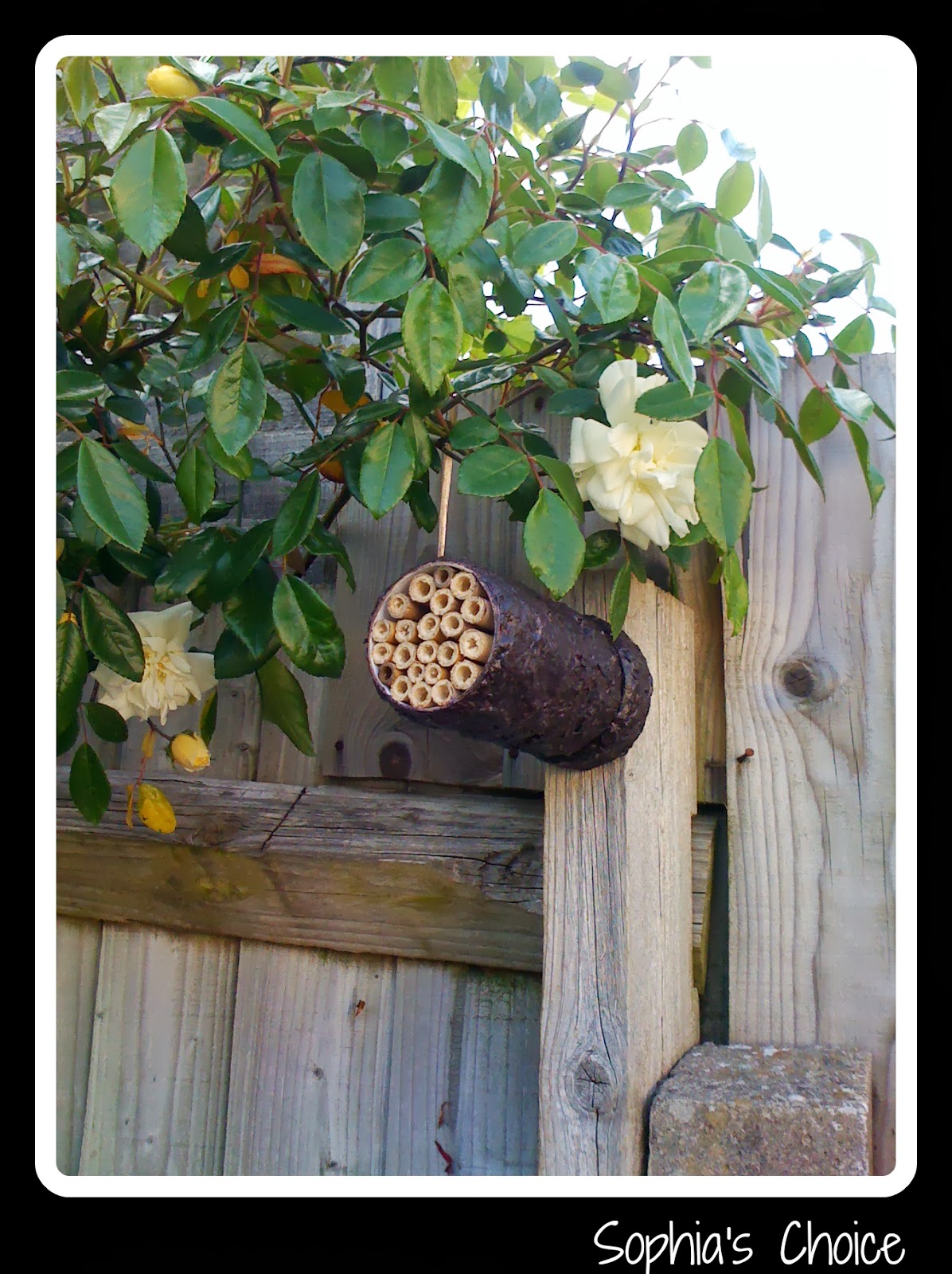 Our Groovebulb Upcycling Challenge – A Masonry Bee House | Sophia's ...