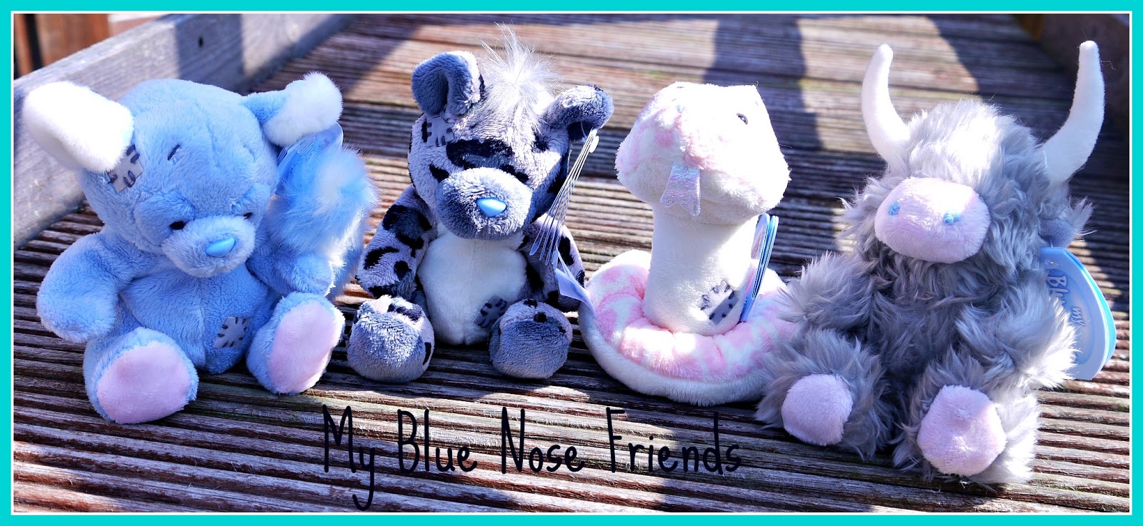Inside the Wendy House: My Blue Nose Friends