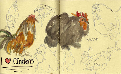 Jan Blencowe's Sketchbook Hypothesis: Chester Fair Animal Sketches