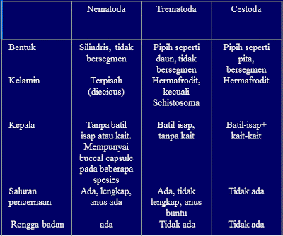 Klasifikasi dan Karakteristik Parasit #1 | MediBlock