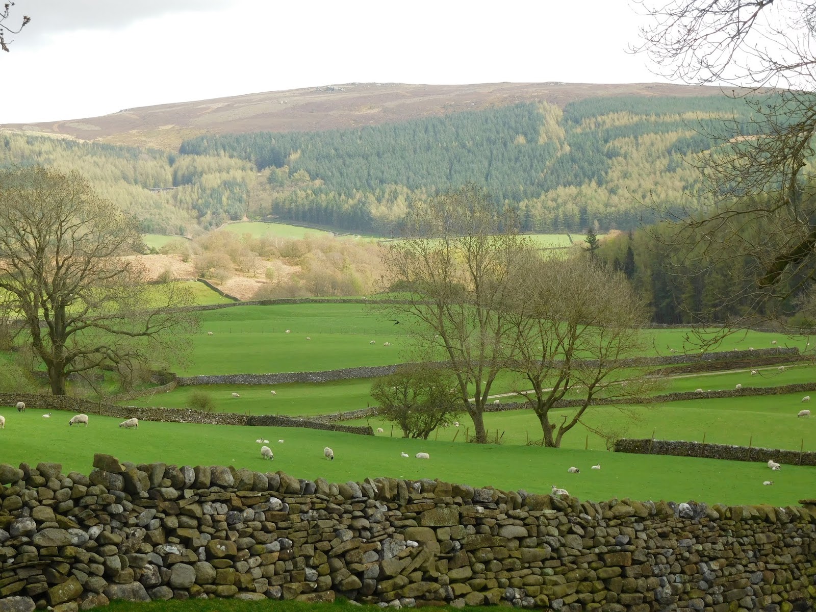Helsie's Happenings: APPLETREEWICK - YORKSHIRE DALES 2018
