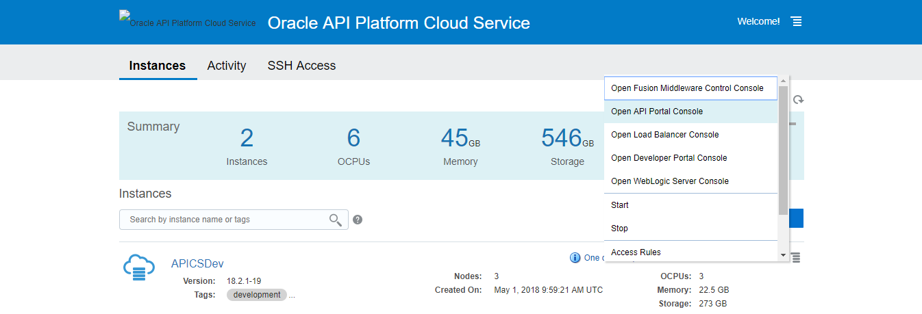Creating an Oracle API Platform Cloud Service (CS) Instance - TechSupper